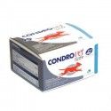 CONDROVET taste 240 COMPRIMIDOS